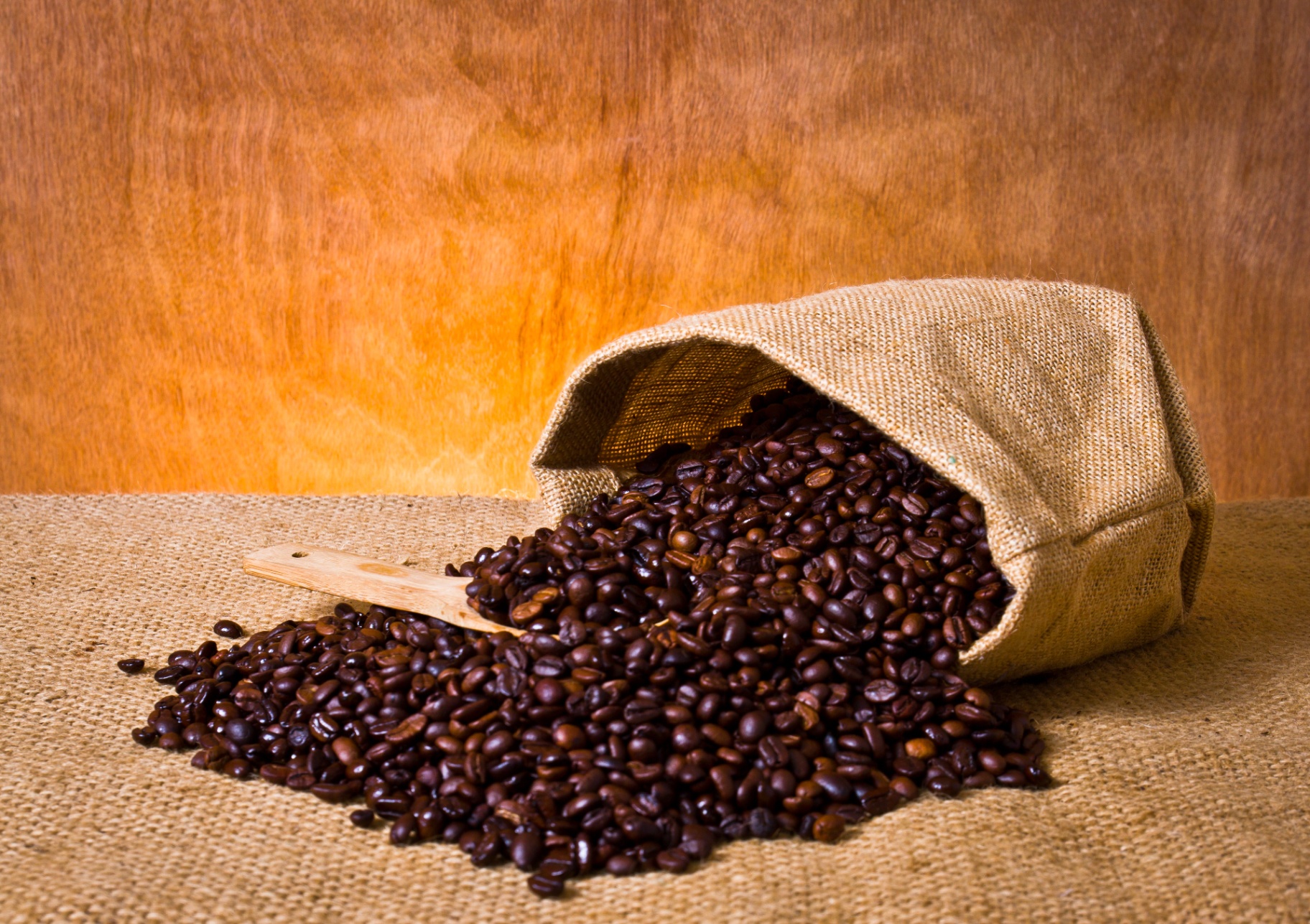 Zelani Coffee - Premium Artisanal Coffee Experience